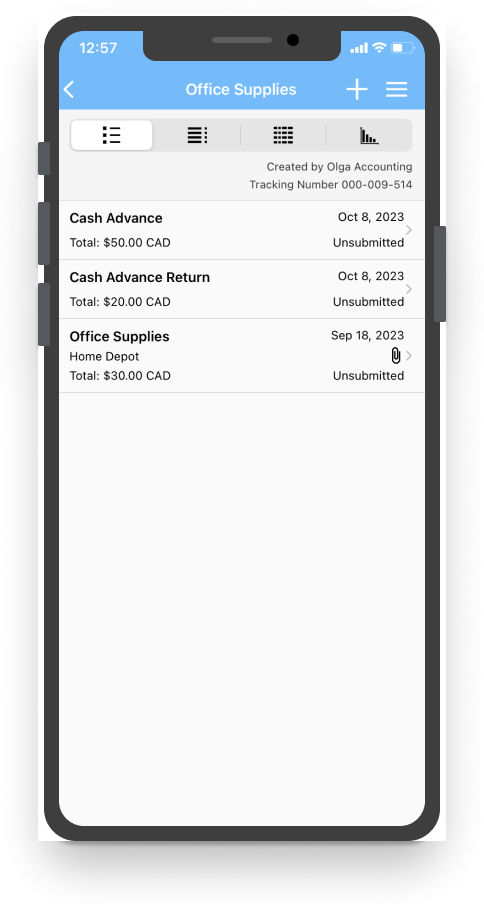 View Expenses in an Expenses Report