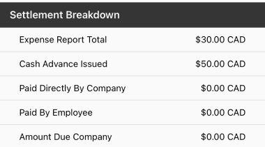 Expenses by Settlement Type and Category Breakdown