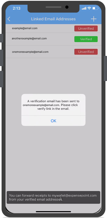 Add Email to the Linked email addresses