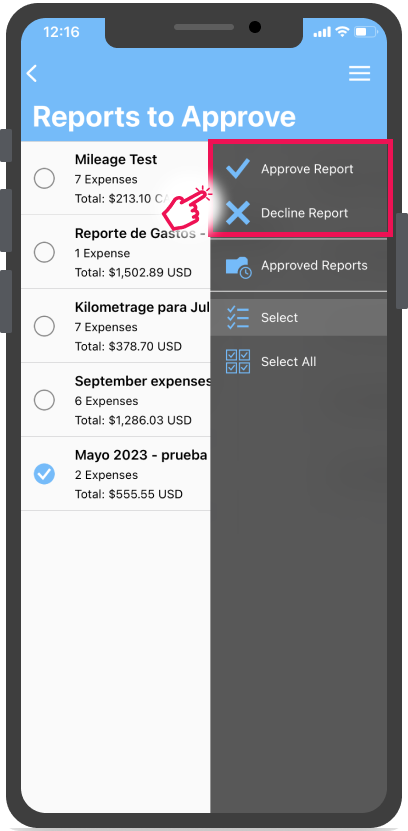 Approve or Decline Expense Reports