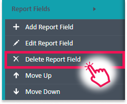 Delete Report Fields